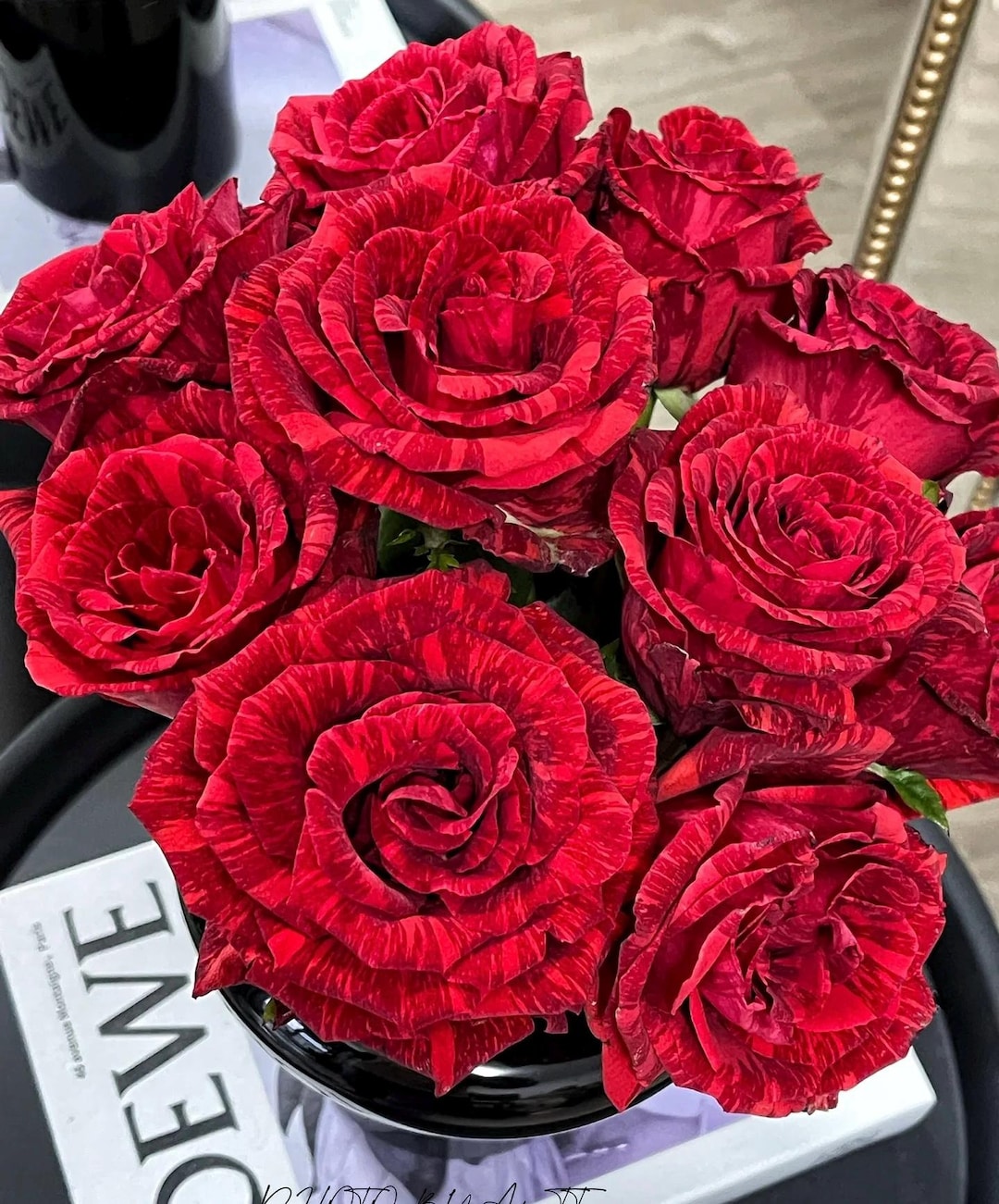 Rose “red Intuition”红色直觉 Cut Flower Live Shrub Plant, Ownroot 1 Gallon ...