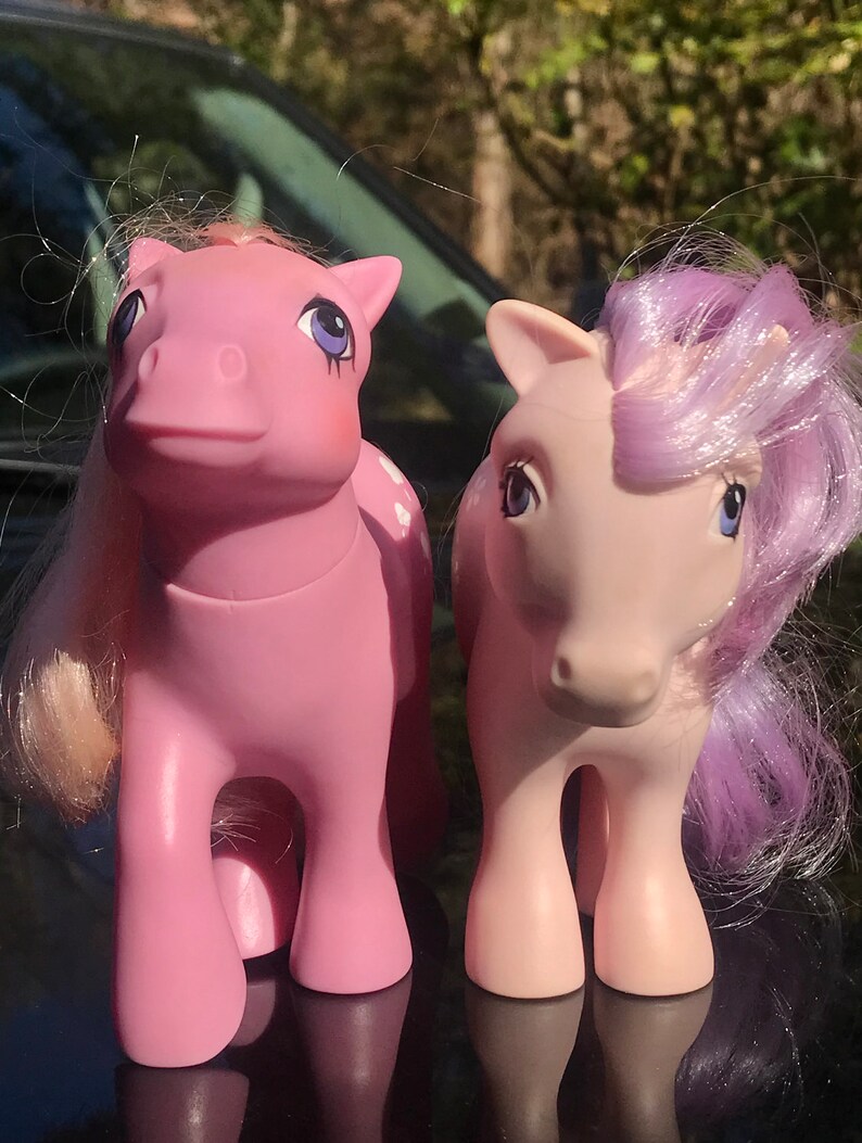 Gen1 MLP Blossom and Lickety Split 1980s Hasbro Collectibles - Etsy