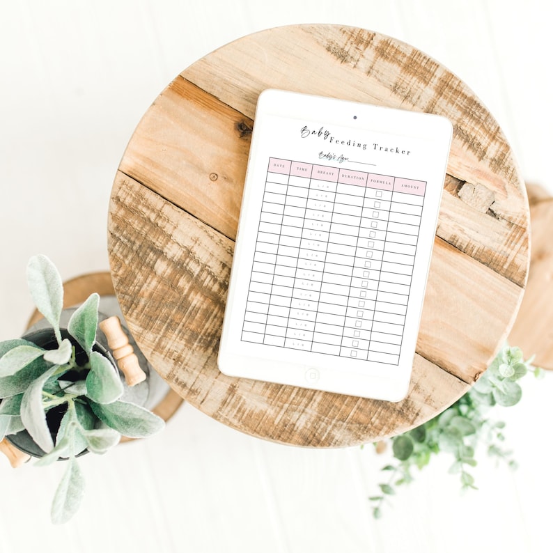 Baby Feeding Tracker Printable, Instant Download, Feeding Schedule, Baby Tracking Log, DIY ...
