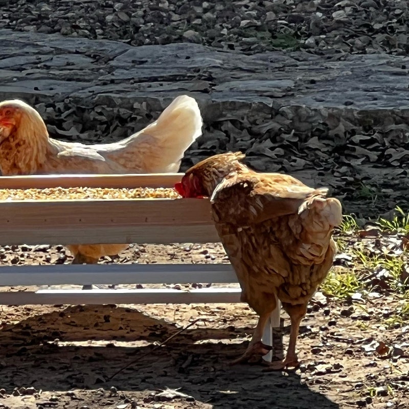 Chicknic Table - Etsy