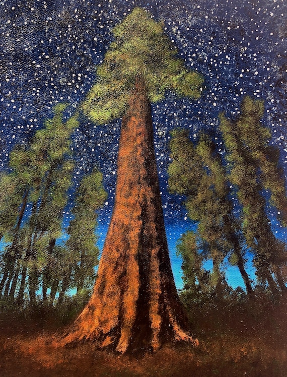 Redwood Trees Art