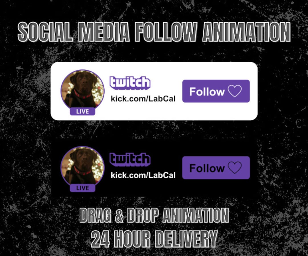 Custom Twitch Follow Button & Overlay Animation, Lower Third Graphics ...