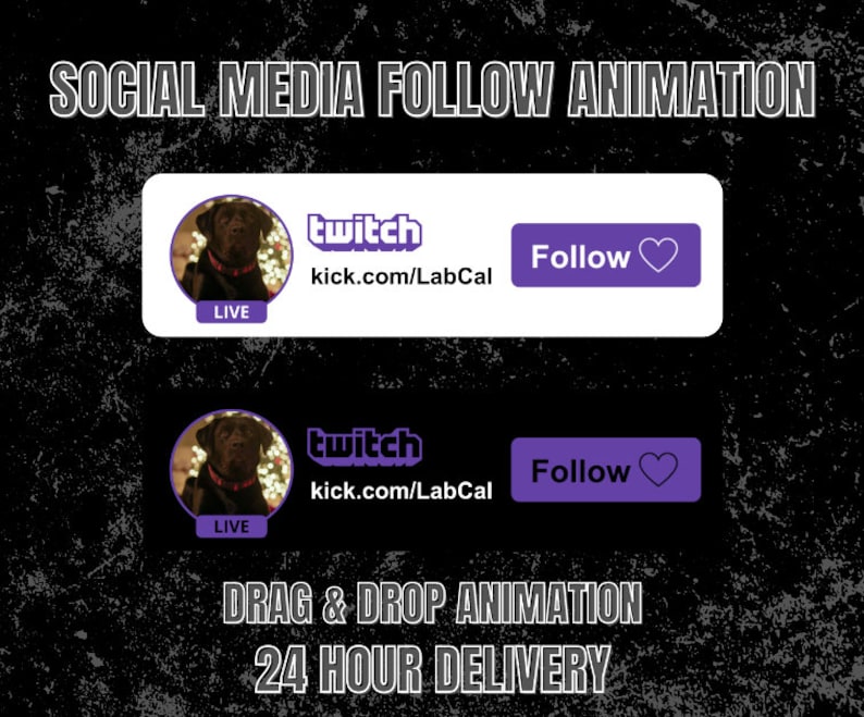 Custom Twitch Follow Button & Overlay Animation, Lower Third Graphics ...