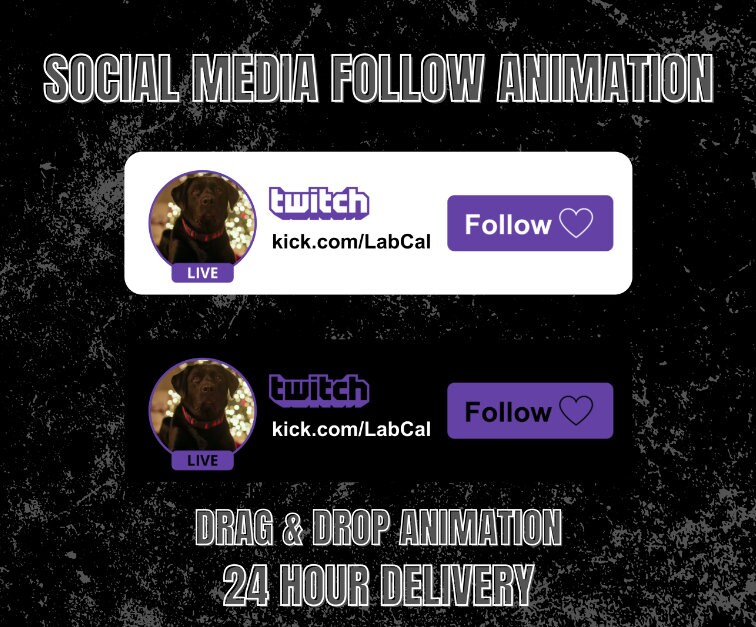 Custom Twitch Follow Button & Overlay Animation, Lower Third Graphics ...