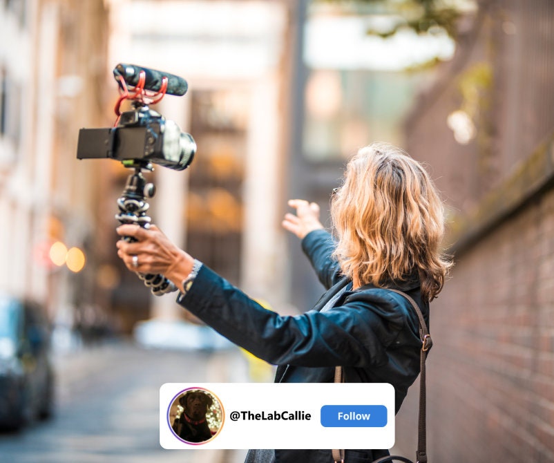 Custom Instagram Follow Animation, Lower Third, Instagram Follow ...