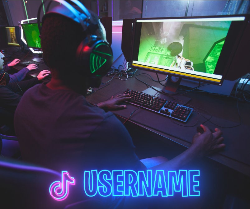 Custom Animated Neon Overlay for Twitch, Tiktok, Discord, Instagram ...
