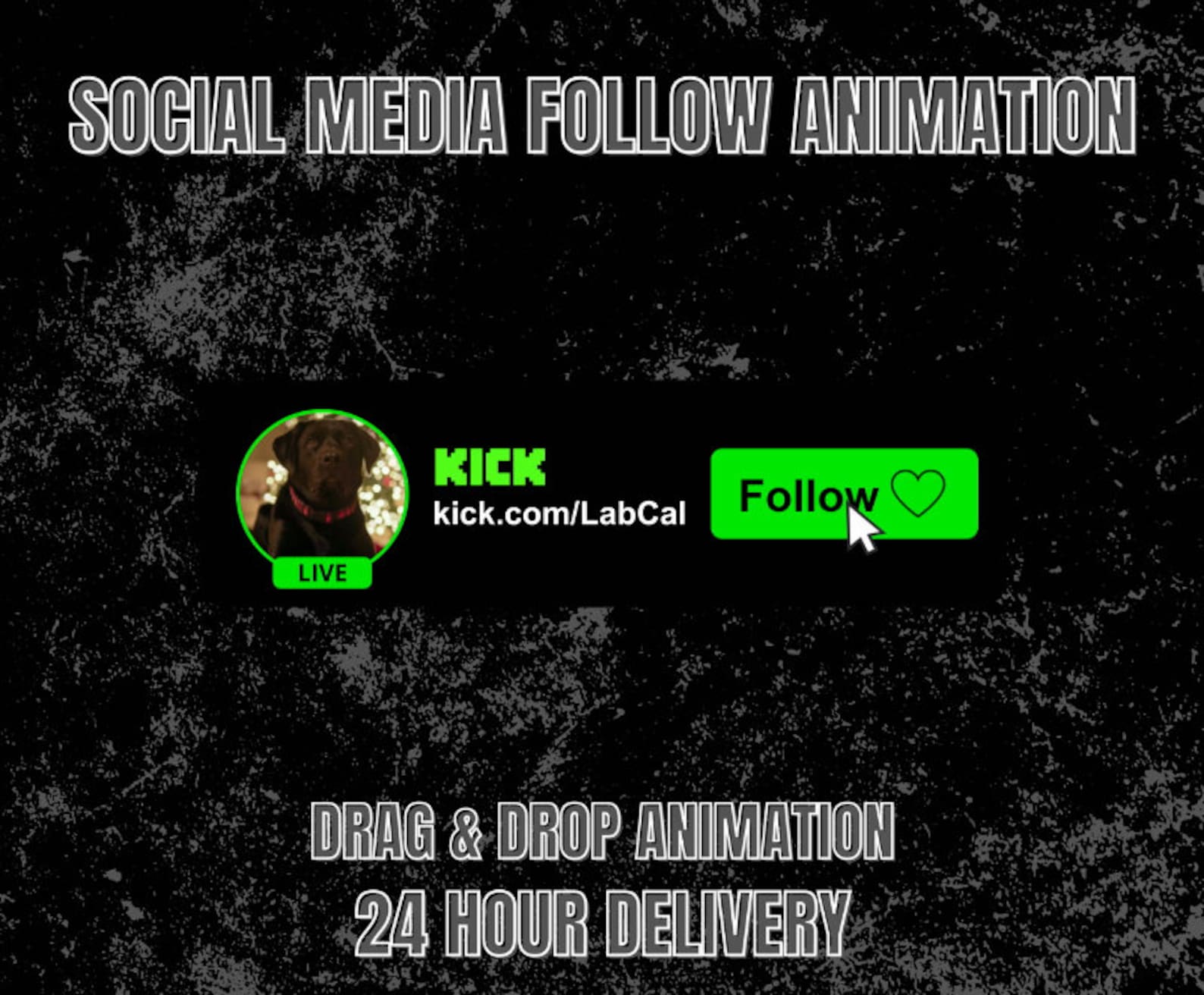 Custom Kick Follow Button Animation, Kick Lower Third, Kick Overlay ...