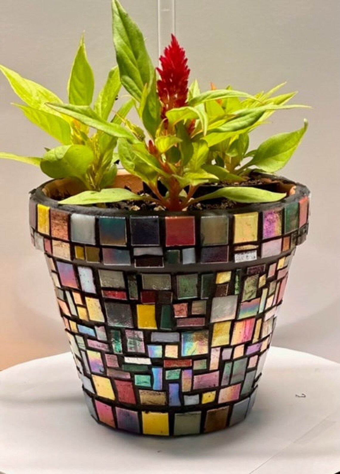 Multi-color Terra Cotta Planter Pot - Etsy
