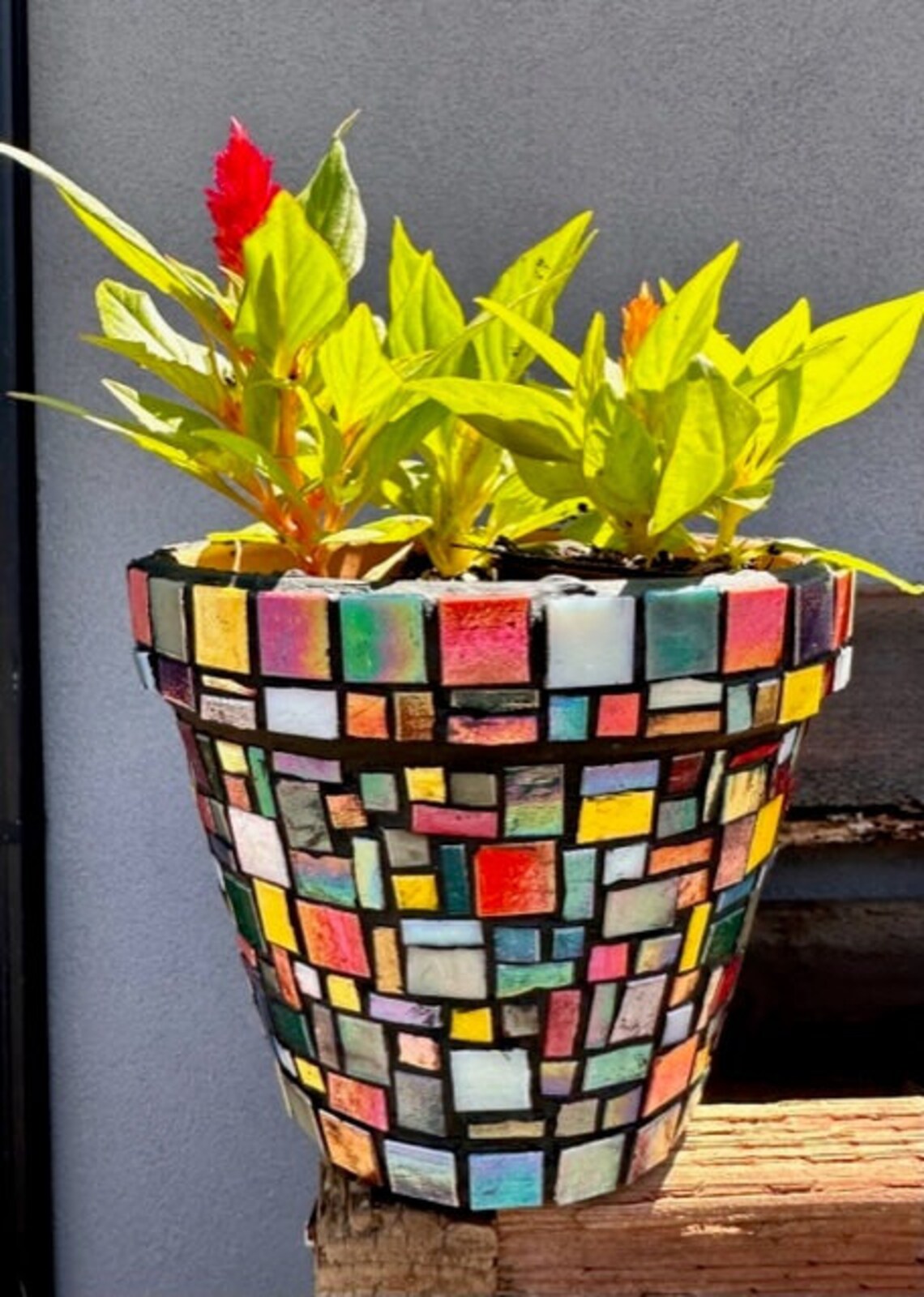 Multi-color Terra Cotta Planter Pot - Etsy