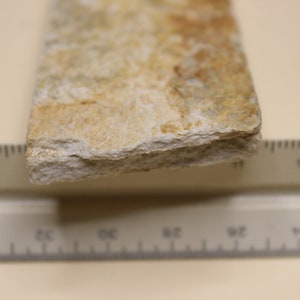 Ultra Rare - Odd Bendable/flexible Sandstone--itacolumite--brazil - Etsy