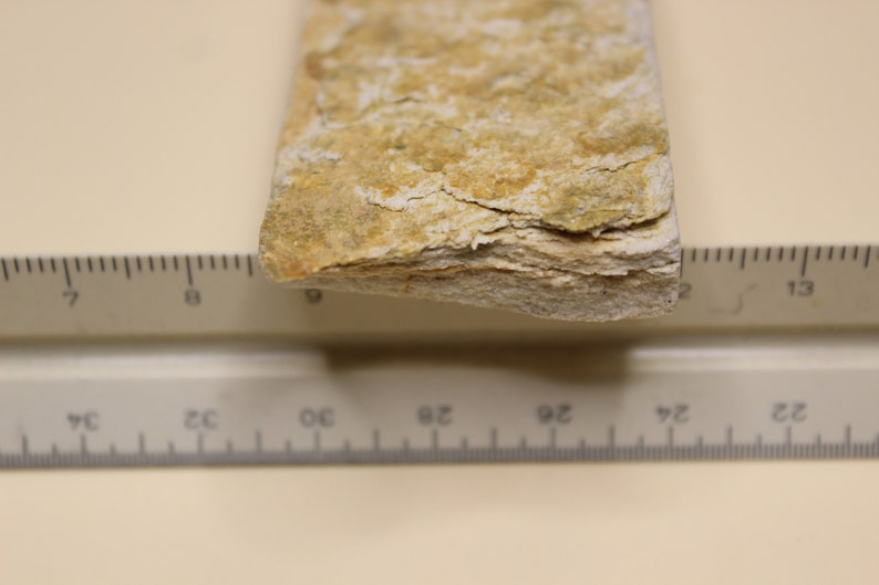 Ultra Rare - Odd Bendable/flexible Sandstone--itacolumite--brazil - Etsy