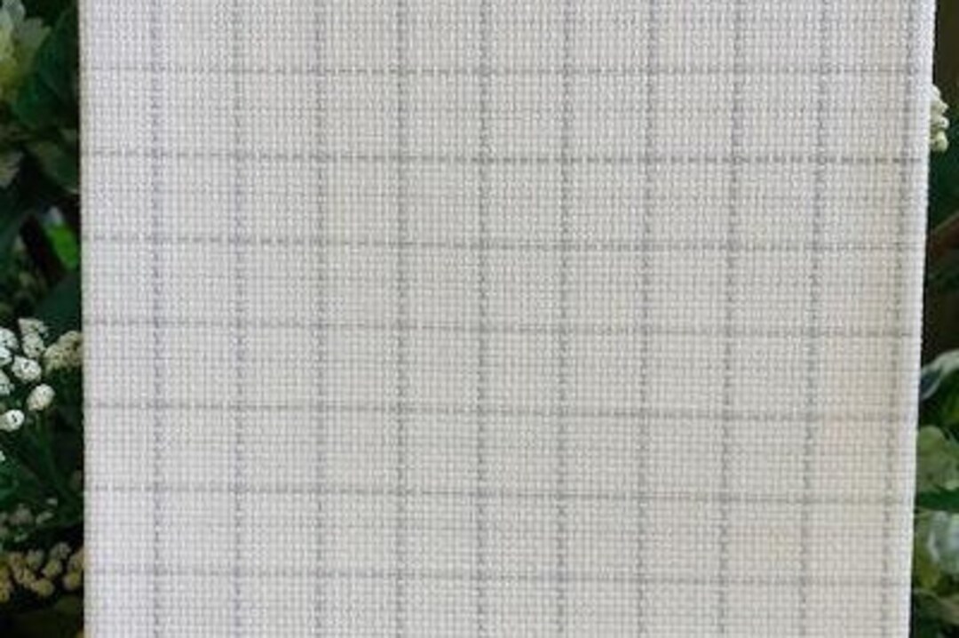 Easy Count Grid Aida 16 Count White 18x25 - Etsy