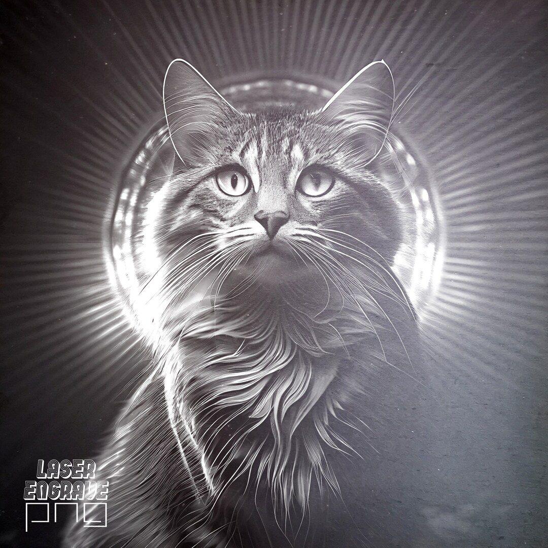 Catful PNG | Laser Engraving File | Slate Coasters | CNC Projects ...