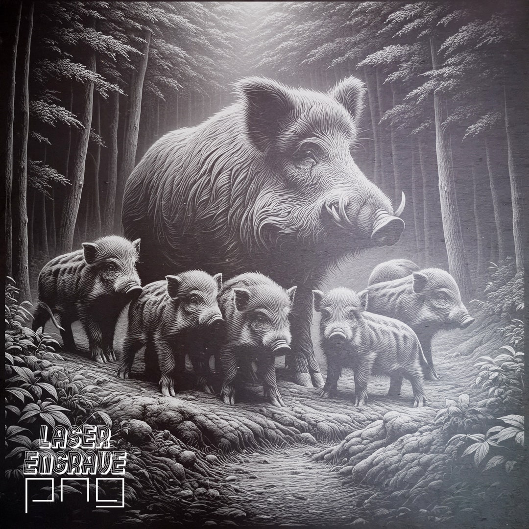 Wild Boar Family PNG | Laser Engraving File | Forest | Slate Coasters ...