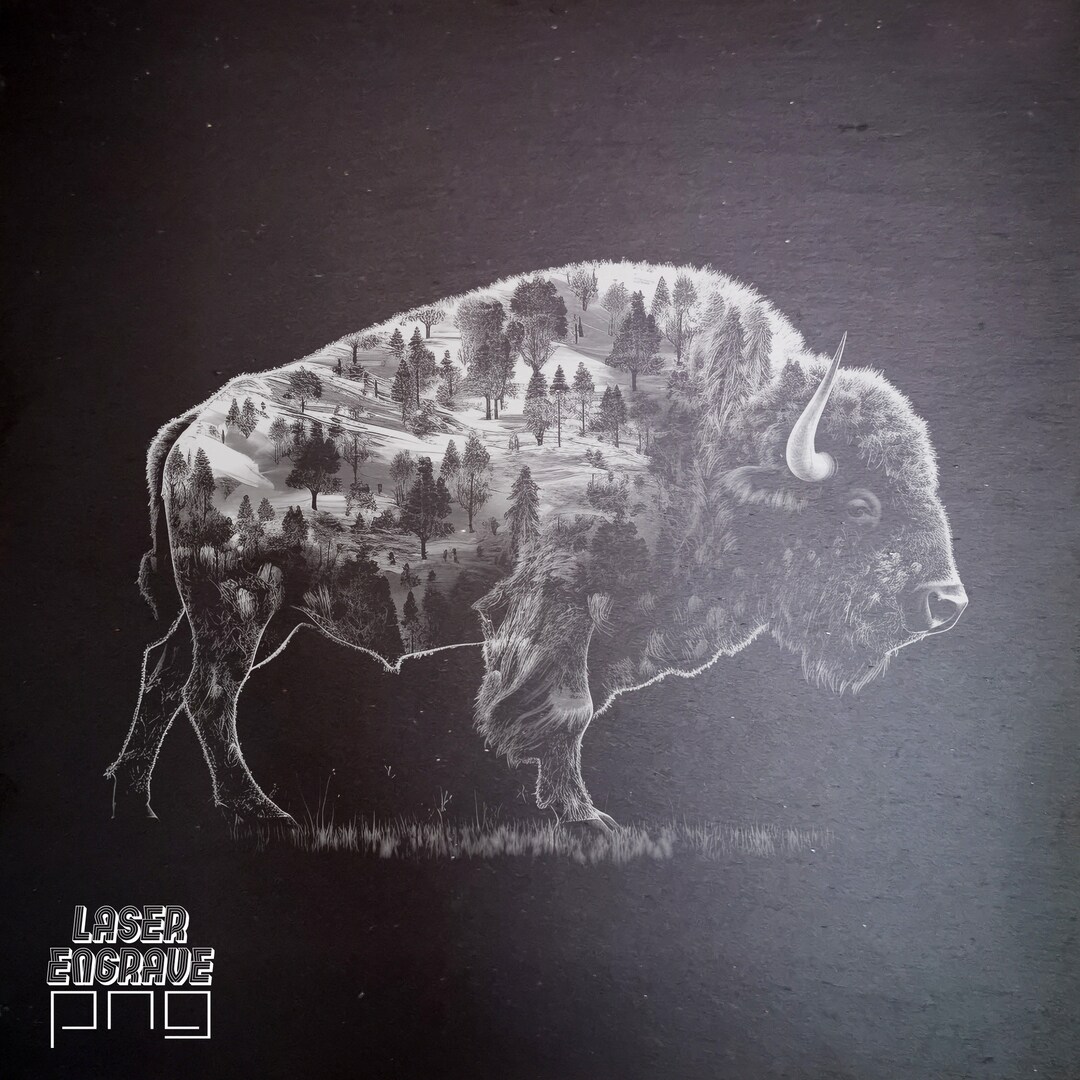 Laser Engrave PNG - Lightburn - Glowforge - Bison - Buffalo - Etsy