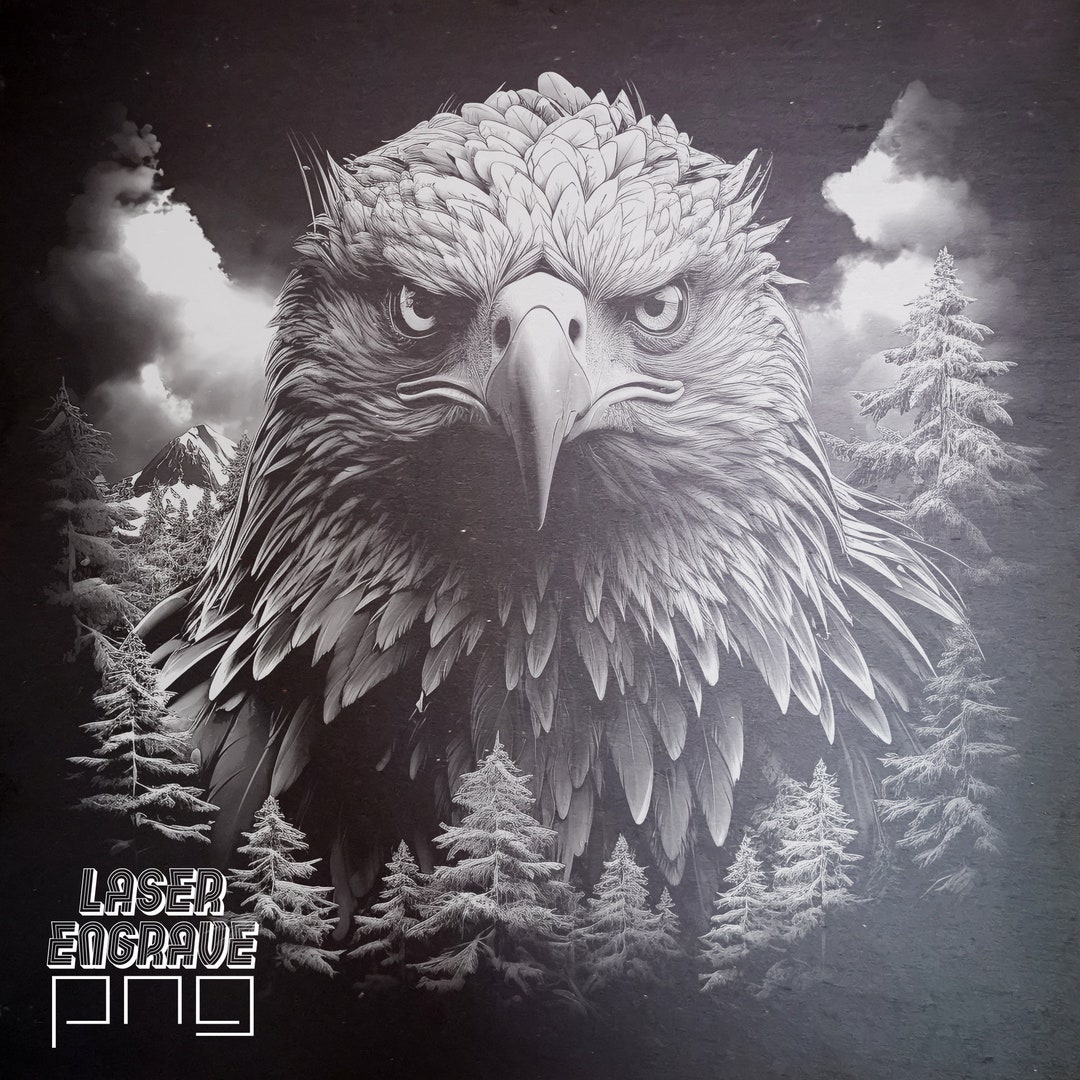 Bald Eagle Head Laser Engraving PNG File: Slate Coasters, Signs - Etsy