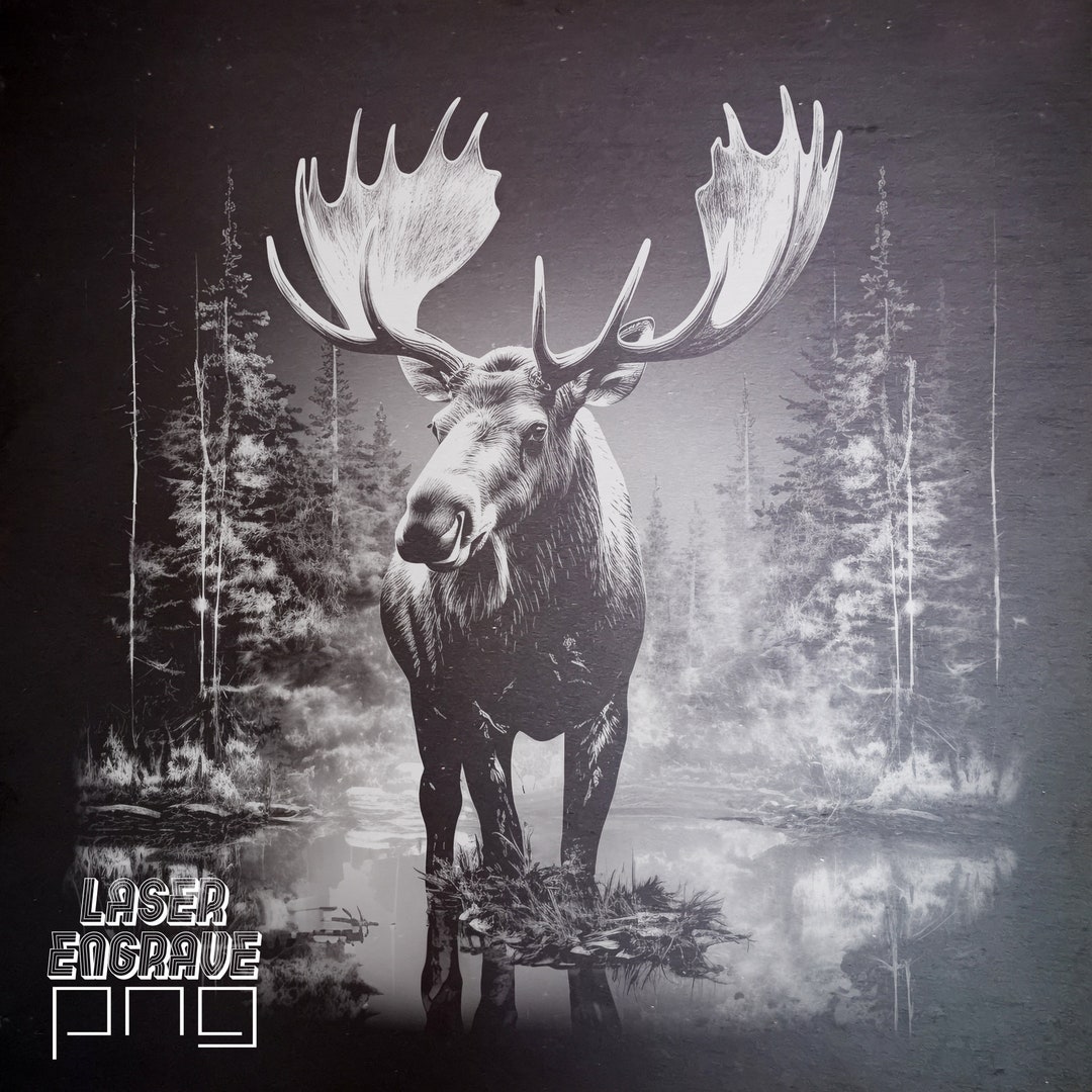 Moose Slate Coaster Laser Engraving File (PNG) - Etsy