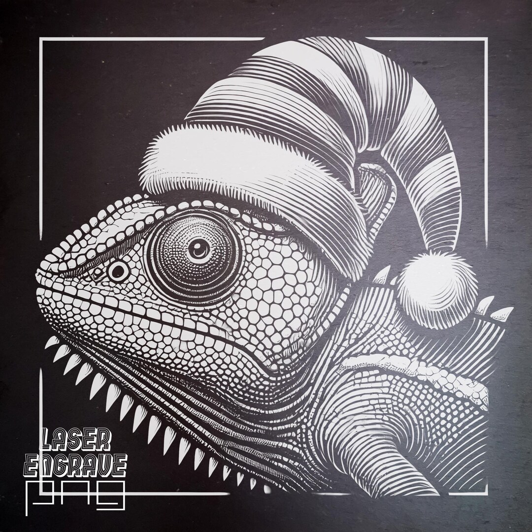 Christmas Chameleon PNG | Laser Engraving File | Santa Hat PNG | Slate ...