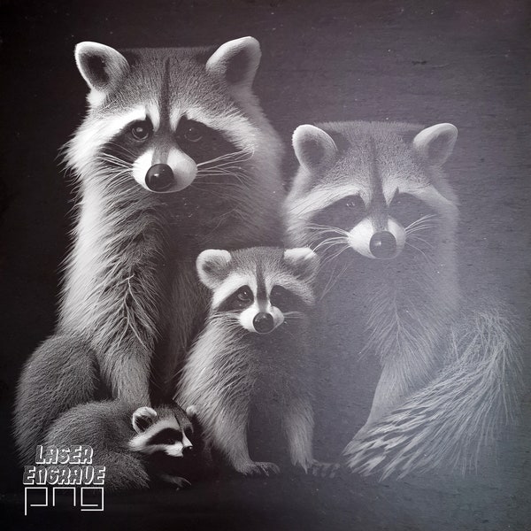 Laser Engraving Files Raccoons - Etsy