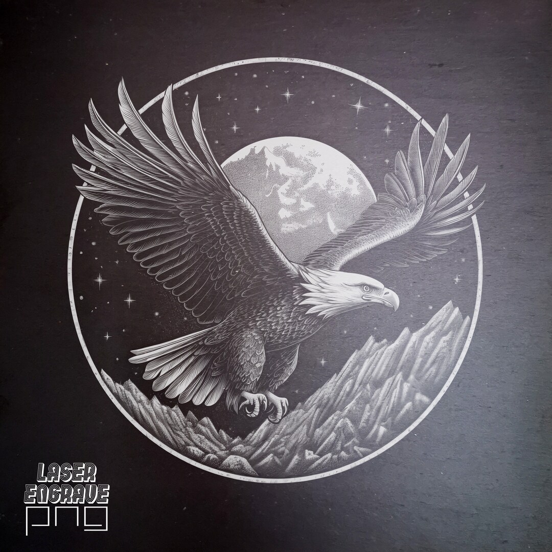 Bald Eagle Laser Engraving PNG File: Slate Coasters, CNC Project - Etsy
