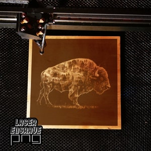 Laser Engrave PNG - Lightburn - Glowforge - Bison - Buffalo - Etsy