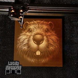 Beaver Face PNG | Laser Engraving File | Slate PNG | Slate Coasters ...