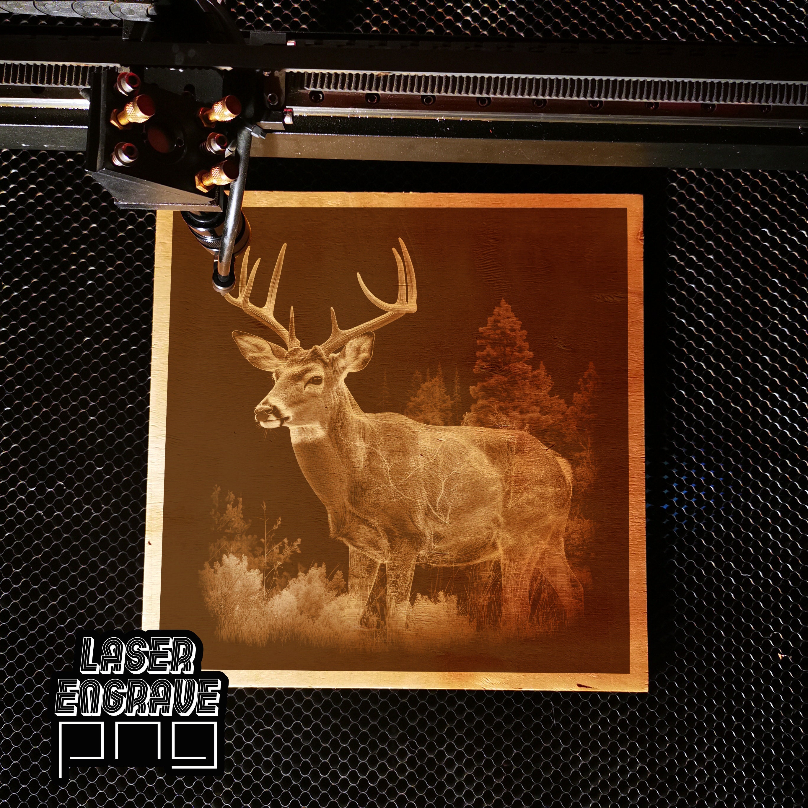 Deer Forest Laser Engraving PNG File: Slate Coaster Design (digital ...