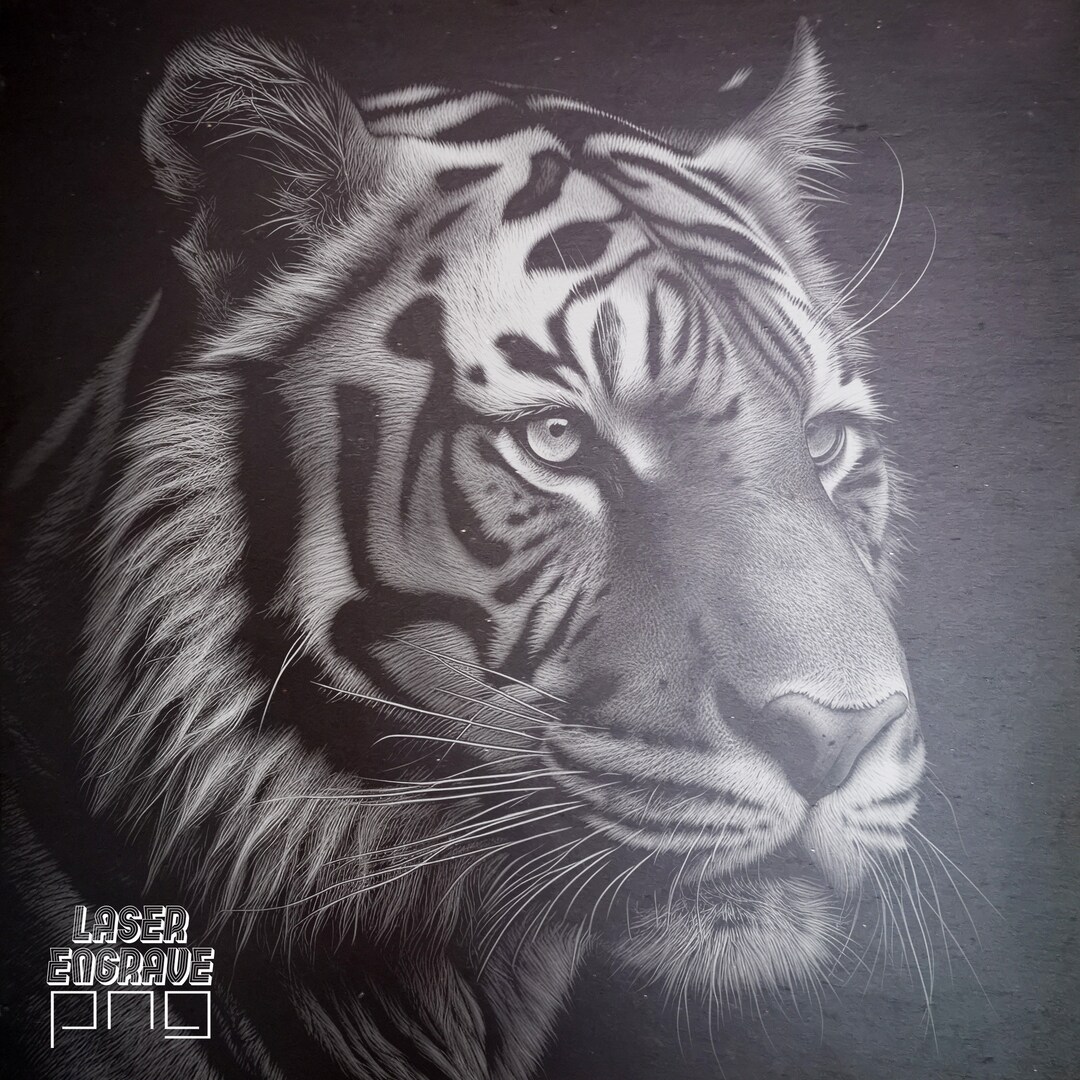 Tiger PNG | Laser Engraving File | Slate Coaster Engraved | CNC Router ...