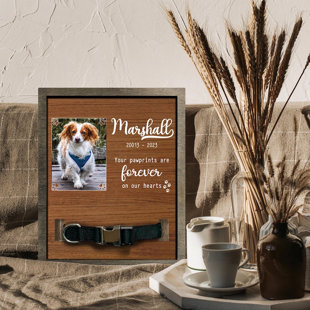 Custom Cat Memorial Photo Frame, Pet Collar Frame Holder, Sympathy Gift ...