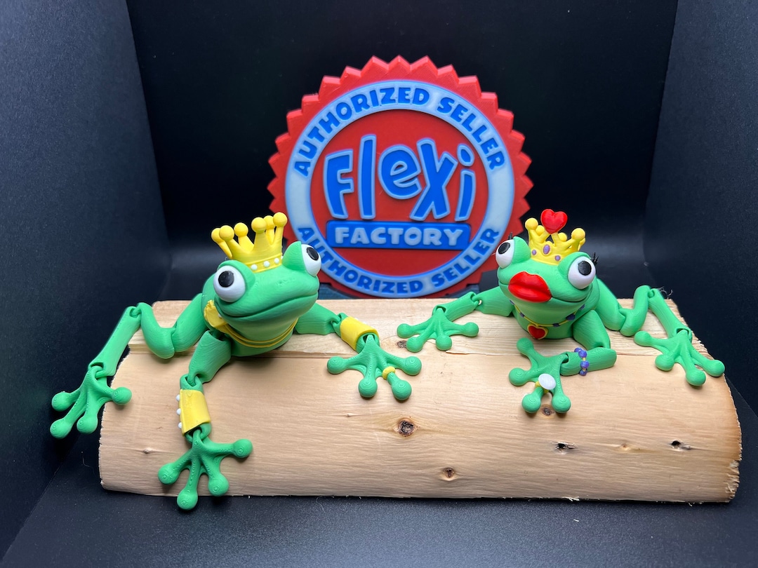Flexi Factory Frog Prince and Princess! - Etsy