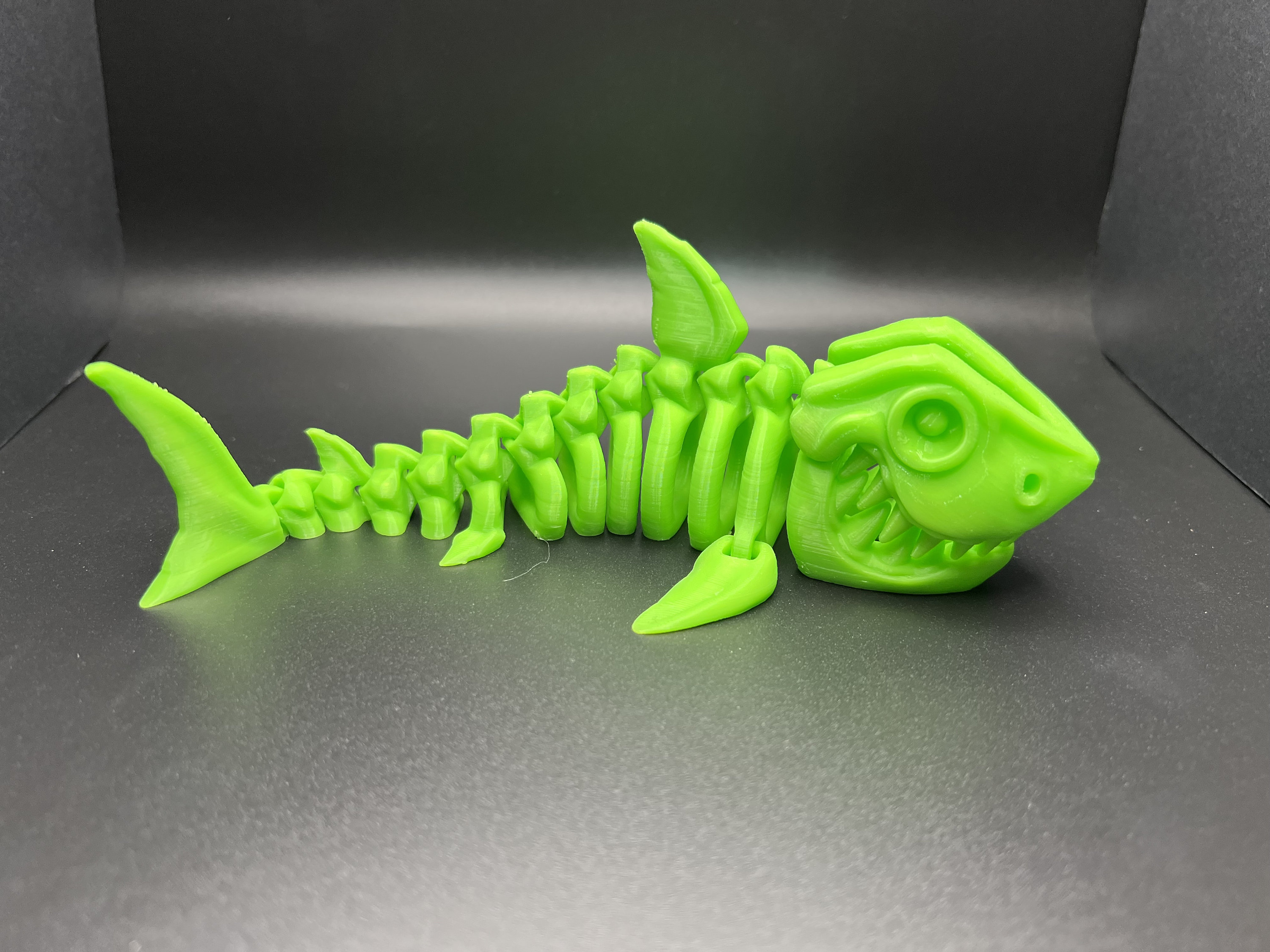 Flexi Factory Shark! - Etsy
