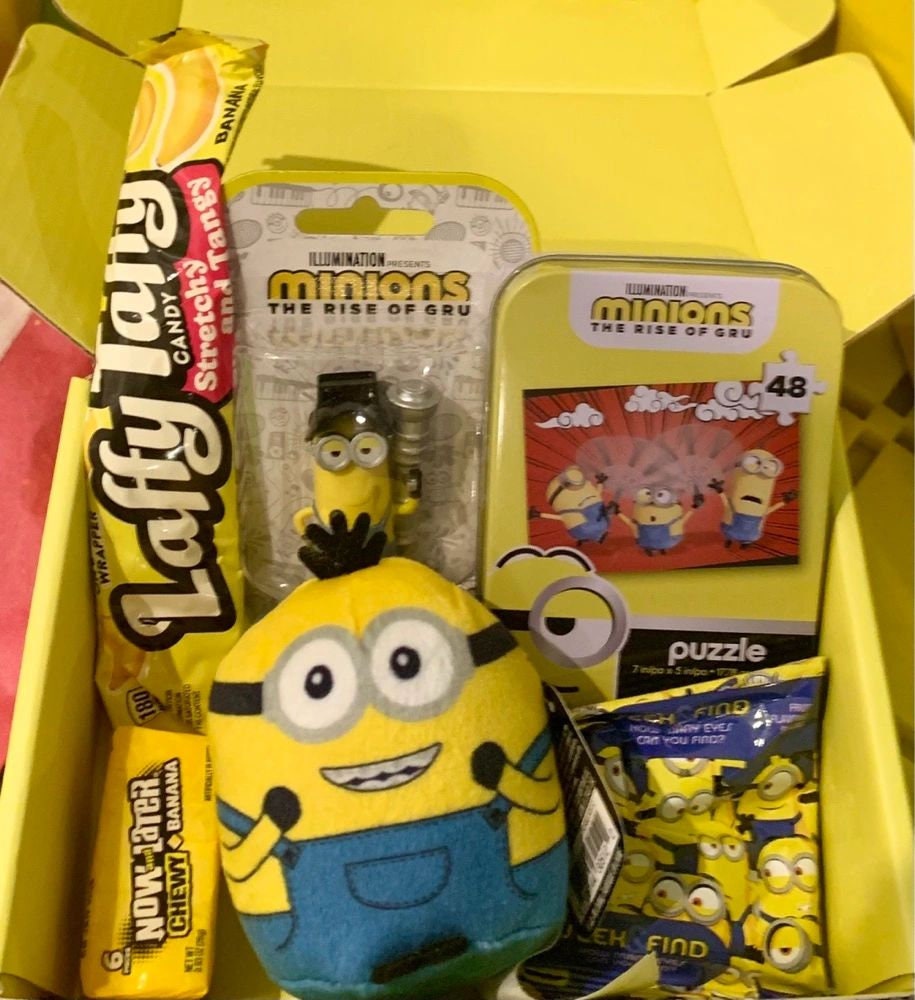 One in a Minion Gift Box Unique Gift for Minion Fan Minions Gift Just ...