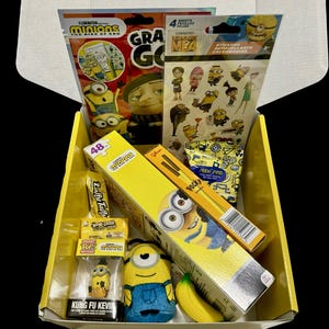 One in a Minion Gift Box - Unique Gift for Minion Fan - Minions Gift ...