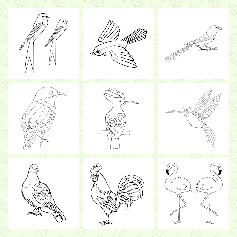 THE FLYING FRIENDS Printable Coloring Pages, Bird Line Art, Bird ...
