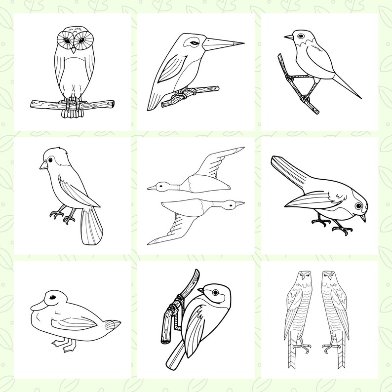 THE FLYING FRIENDS Printable Coloring Pages, Bird Line Art, Bird ...