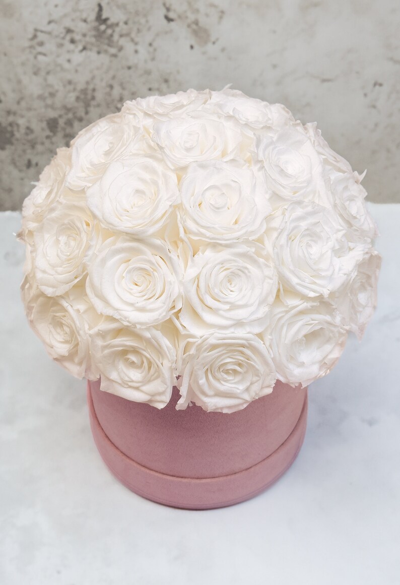 Forever Rose Eternal Roses Dome of 30 Forever Roses, White in Velvet ...