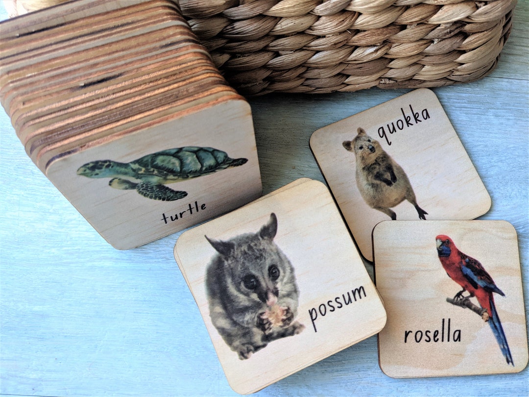 Indigenous A to Z Brightly Coloured Cards - Etsy