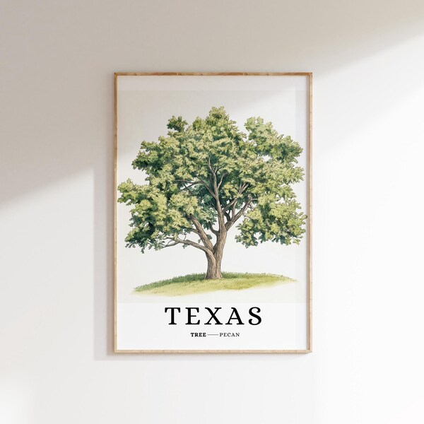 Pecan Tree - Etsy