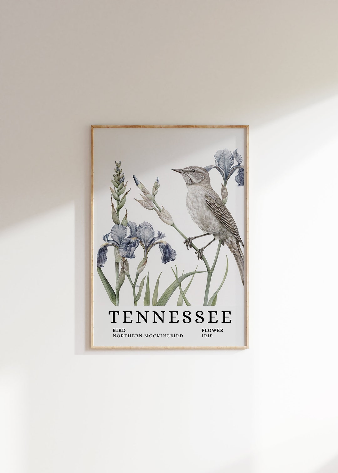 TENNESSEE Northern Mockingbird State Bird and Iris Flower Art Print ...