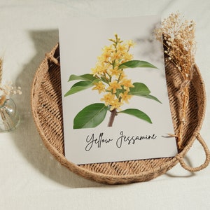 SOUTH CAROLINA Yellow Jessamine State Flower Line Art - Flower Line Art ...