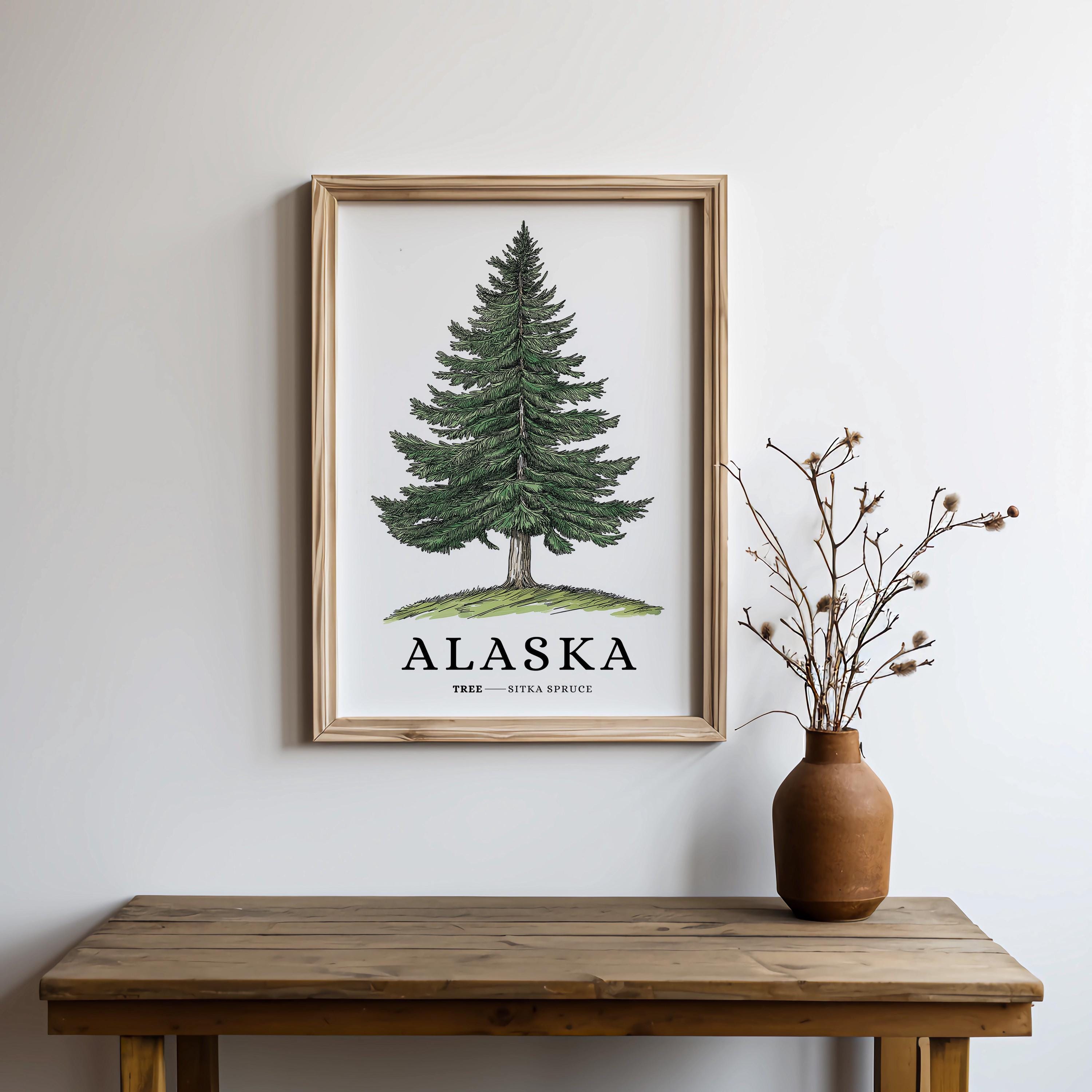 Alaska State Tree Drawing