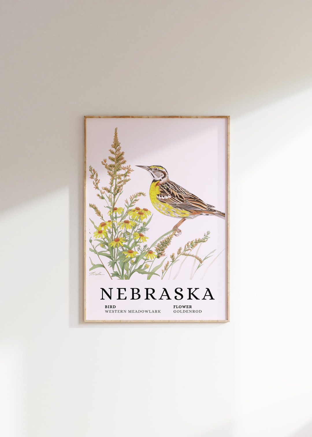 NEBRASKA Western Meadowlark State Bird and Goldenrod Art Print ...