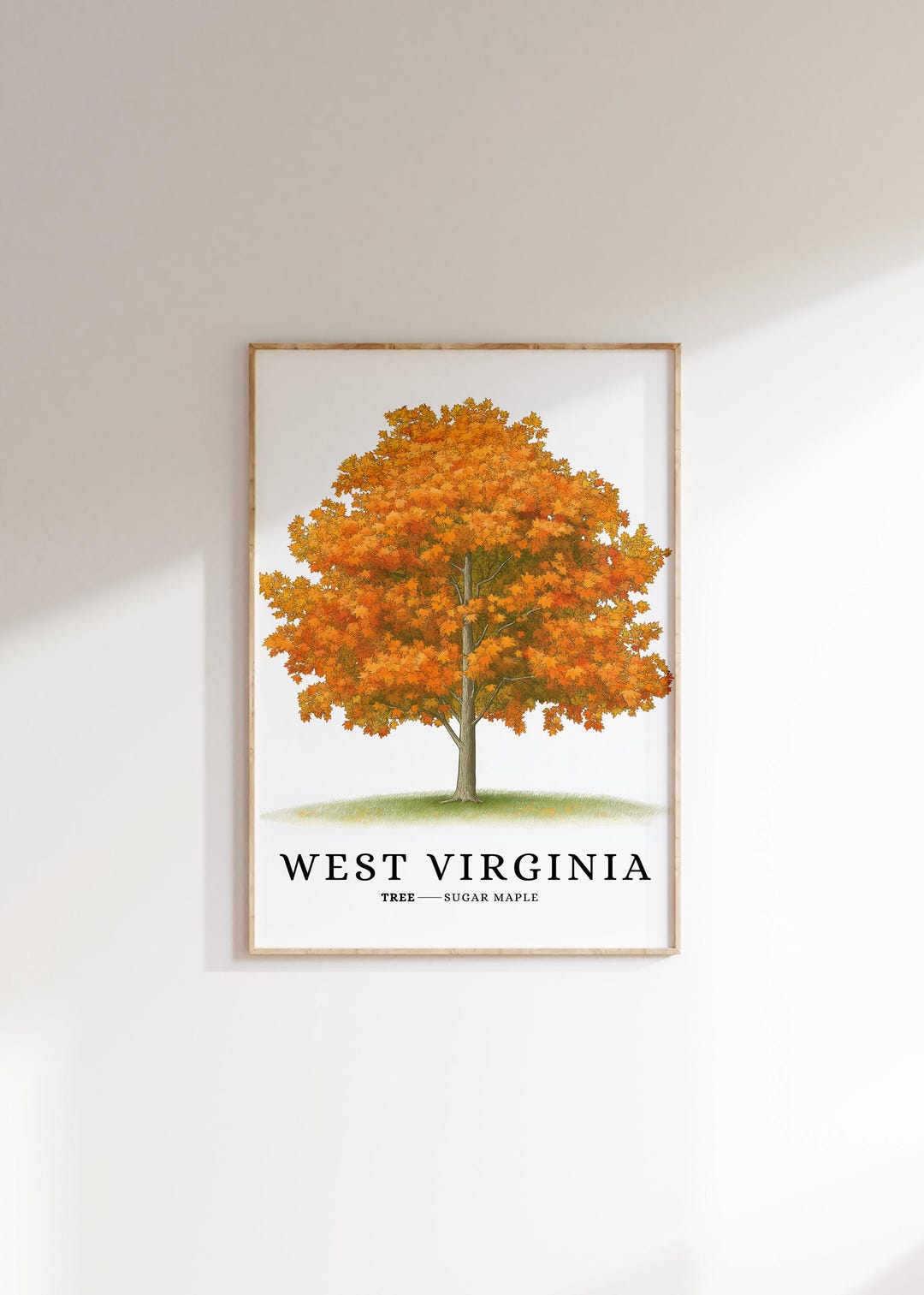 West Virginia State Tree Print | Sugar Maple Tree | Printable Southern ...