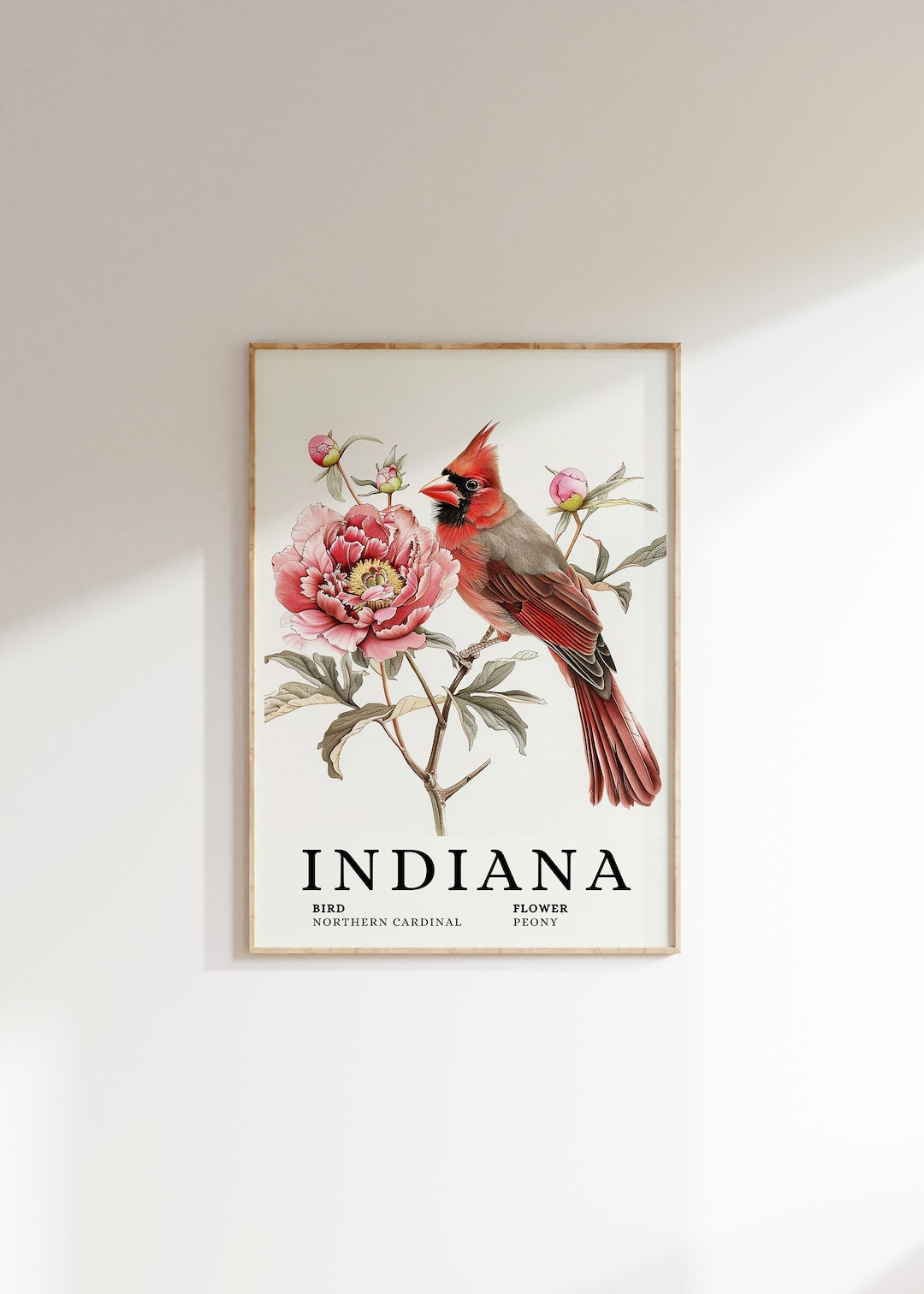 INDIANA Northern Cardinal State Bird and Peony Art Print - Cardinal ...
