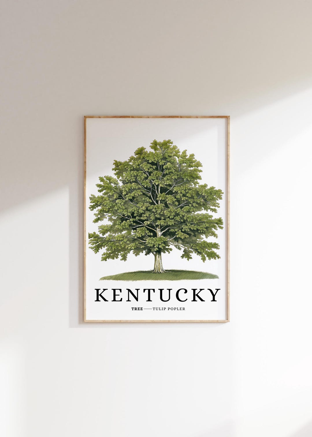 Kentucky State Tree Print | Tulip Poplar Tree | Printable Southern Wall ...