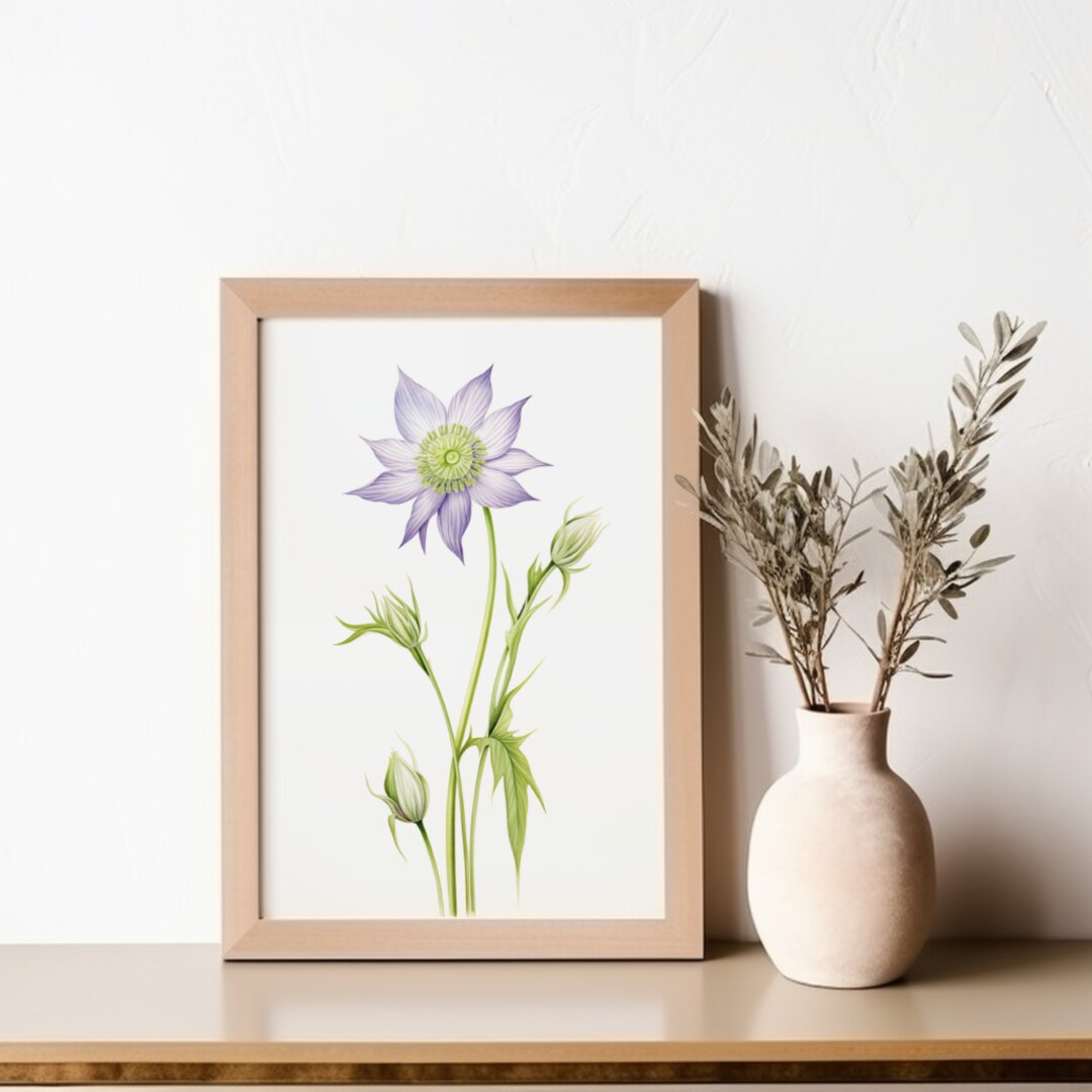 SOUTH DAKOTA American Pasque State Flower Line Art Minimalistic Flower ...