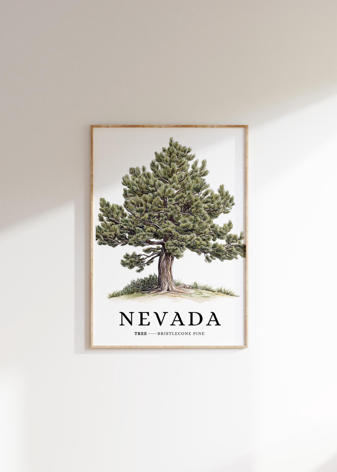 Bristlecone Pine Tree Print: Nevada State Symbol Art (digital Download ...