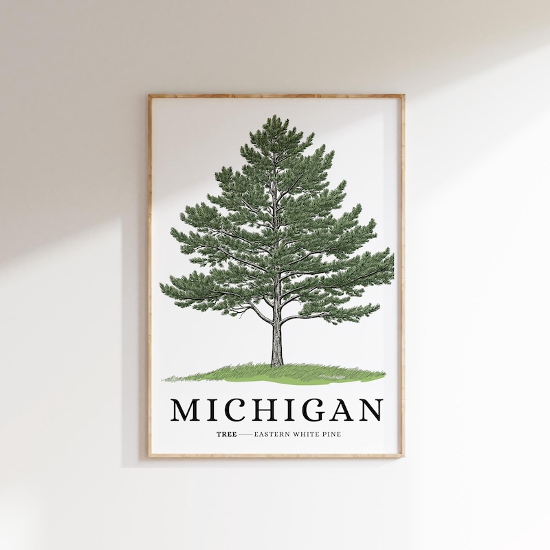 Eastern White Pine Tree - Etsy