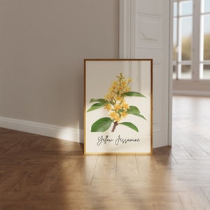 SOUTH CAROLINA Yellow Jessamine State Flower Line Art - Flower Line Art ...