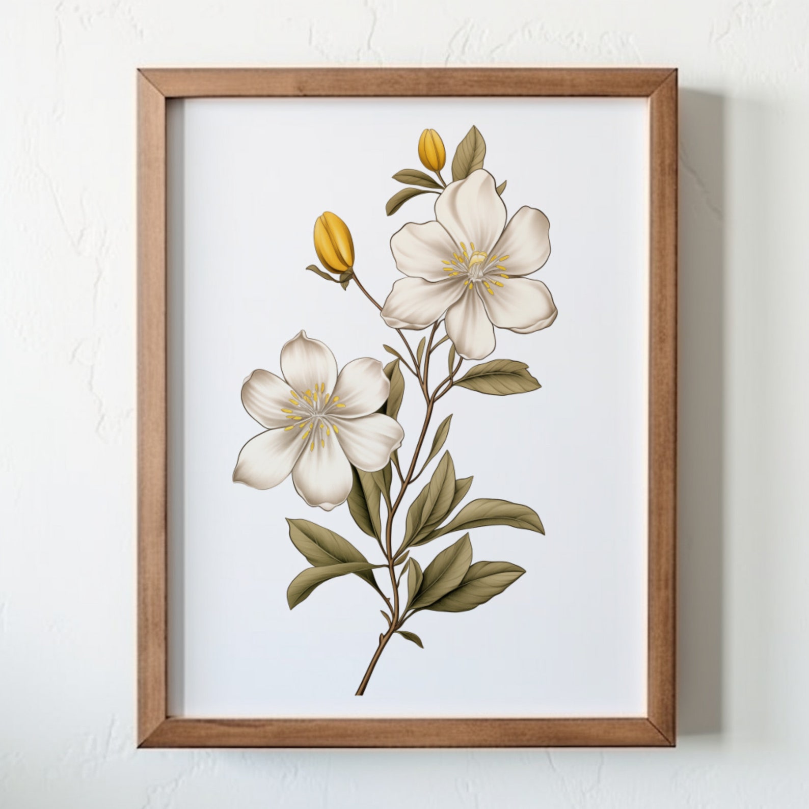 SOUTH CAROLINA Yellow Jessamine State Flower Line Art Flower Line Art ...